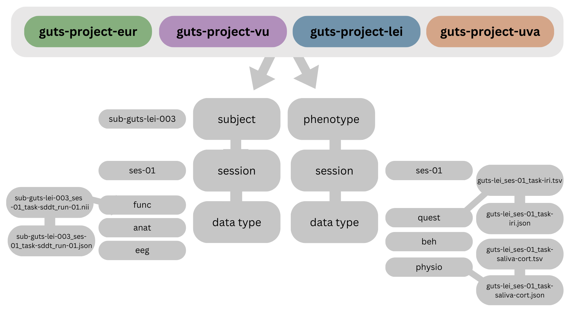 GUTS RDM Handbook - 12 Data structure